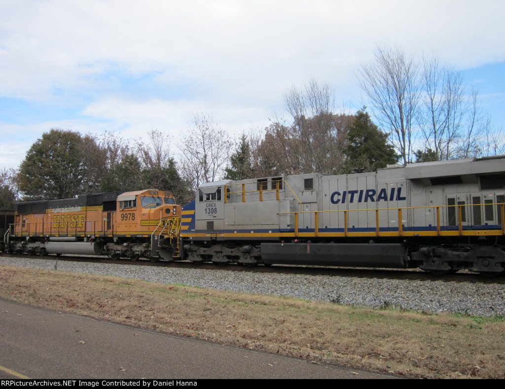 FINALLY I CAUGHT A CREX!!!!!